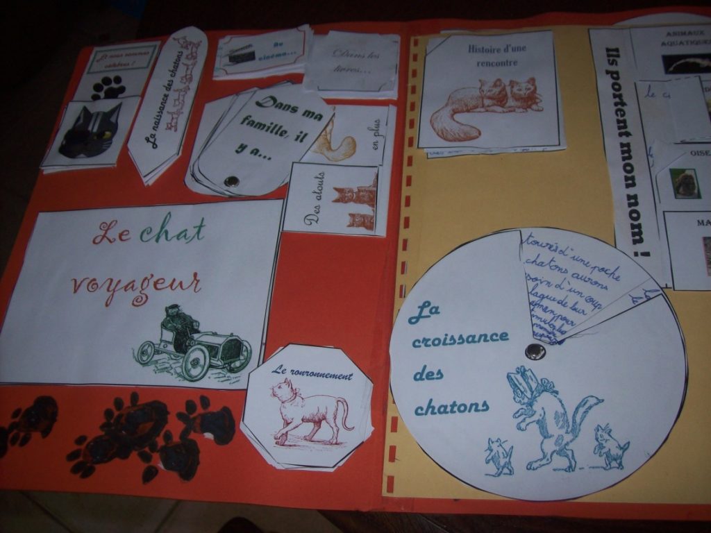 Des exemples de lapbooks - Carpediem Education