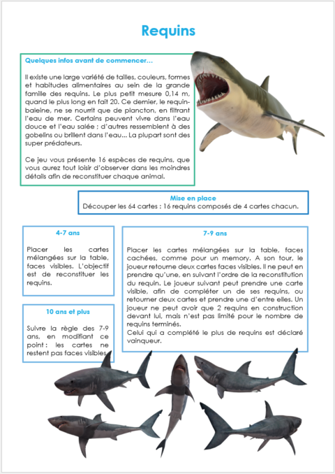 Requins | Carpe Diem